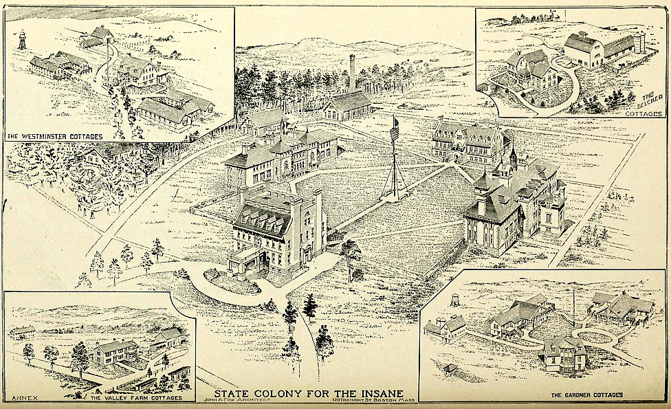 In and Out of the Colony – Captured and Exposed