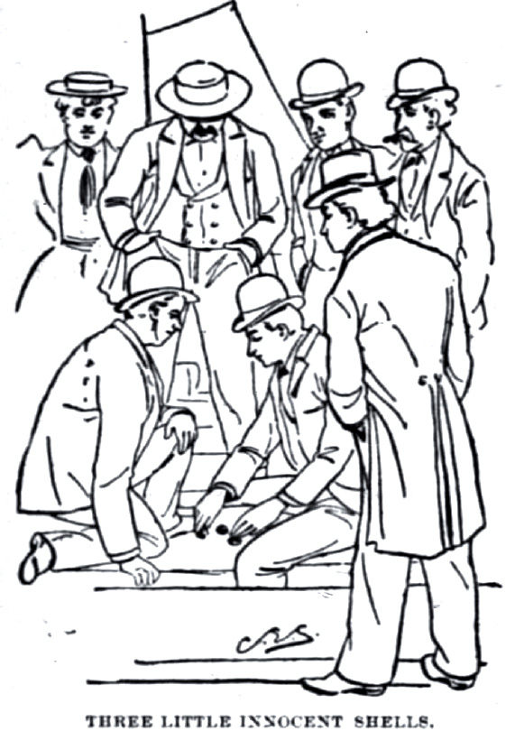 Three Little Shells – Captured and Exposed