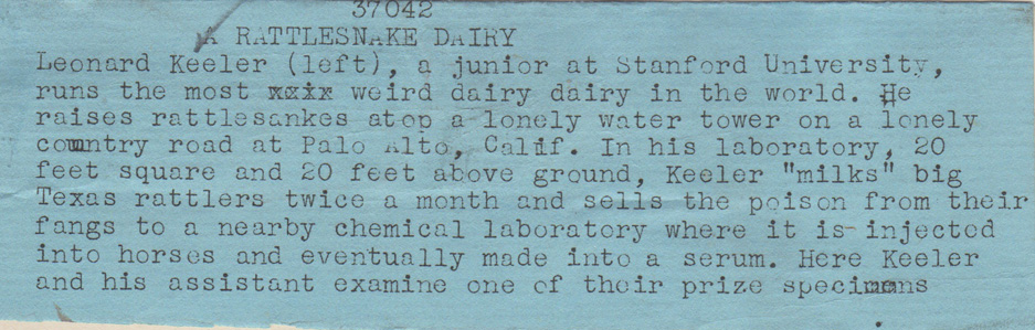 The Milkman – Captured and Exposed