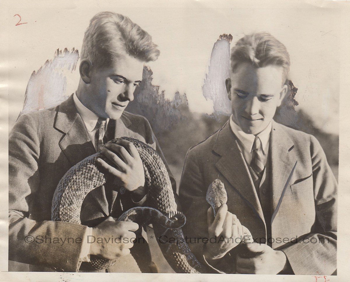 The Milkman – Captured and Exposed