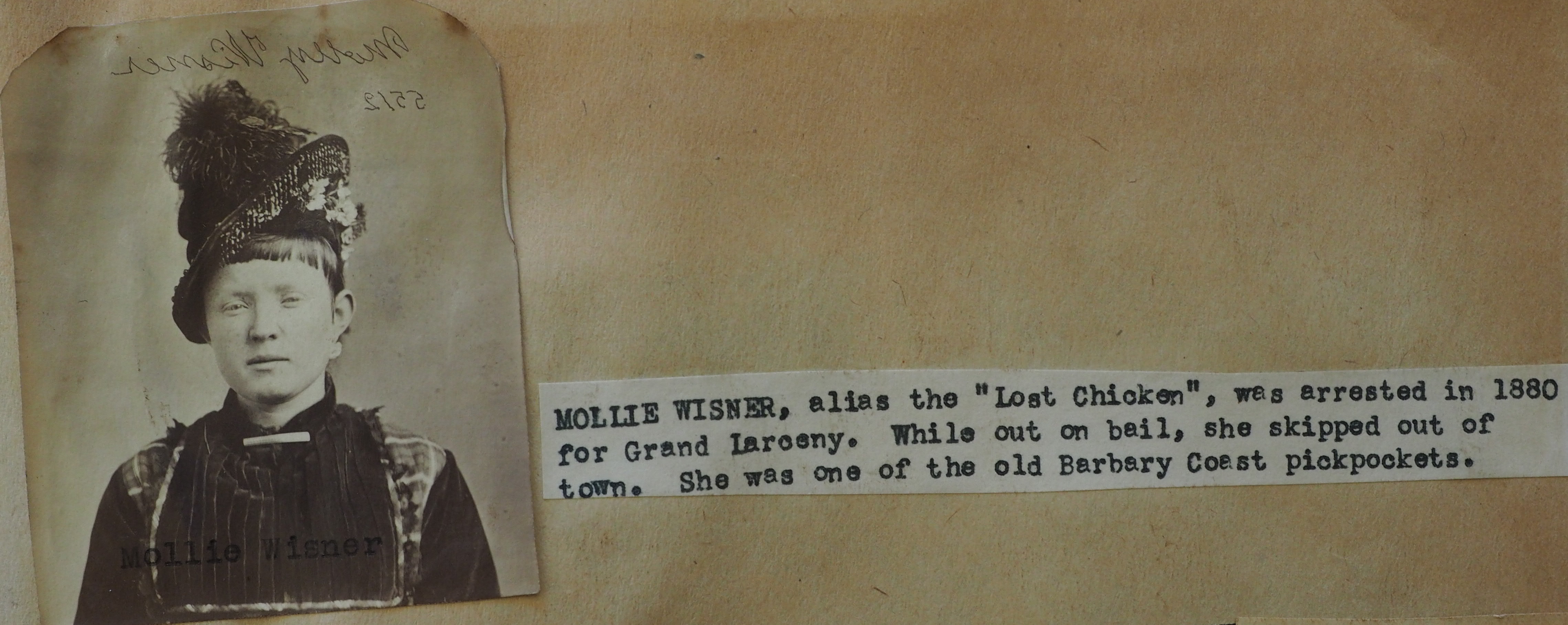 The Lost Chicken – Captured and Exposed