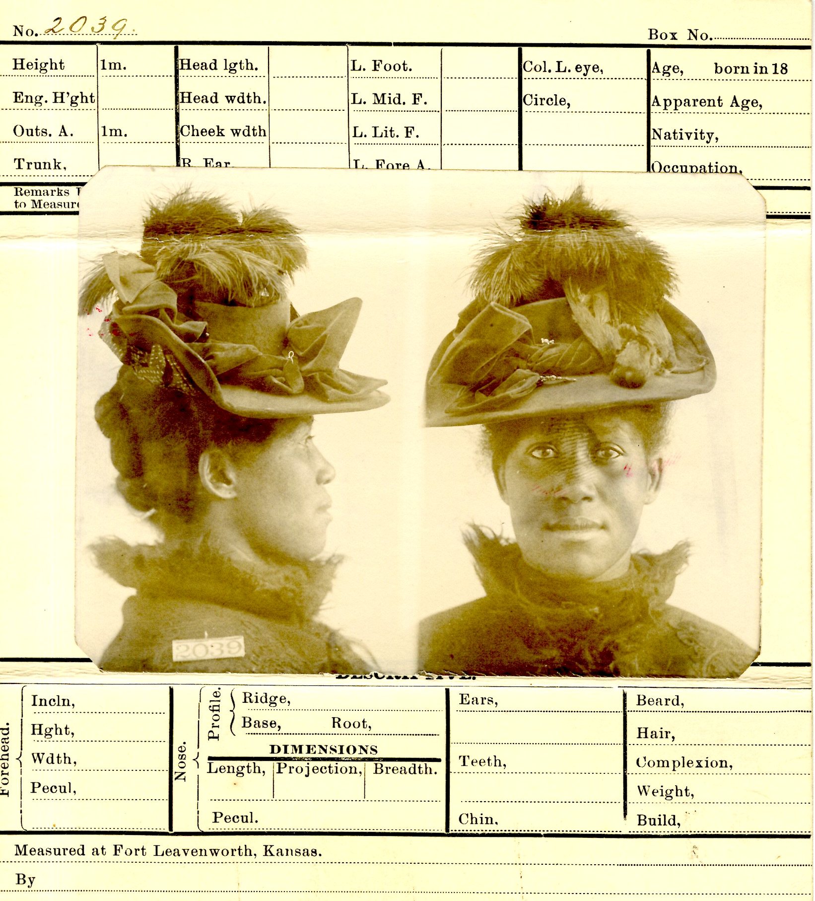 Three Mary Graysons – Captured and Exposed